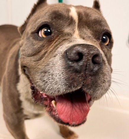 23-0298 AM Staff Mix