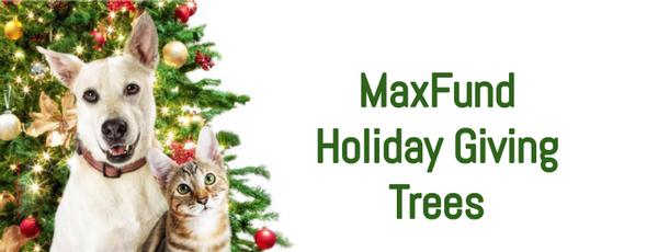 Holiday Giving Trees!